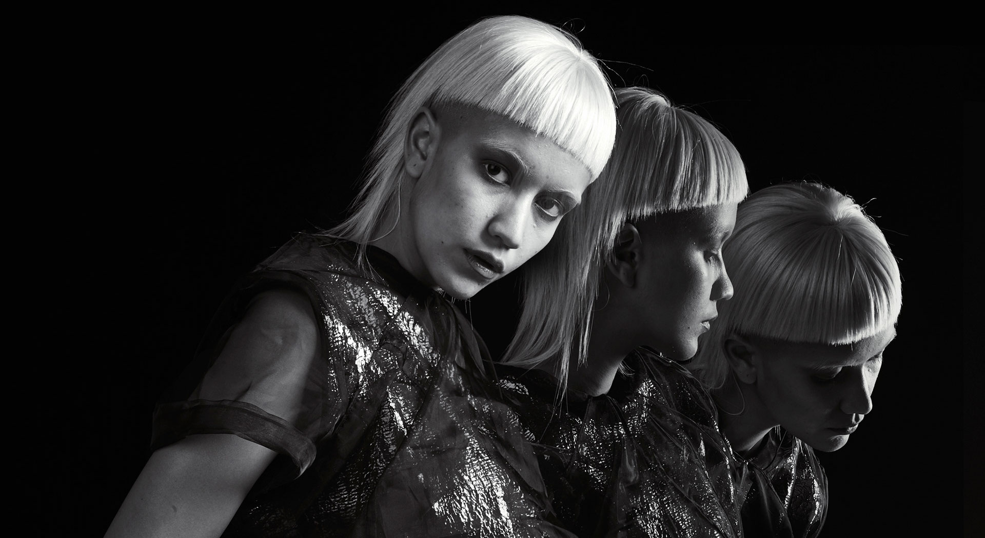 Showcase Artist Profiles & International Academies – DavinesPro