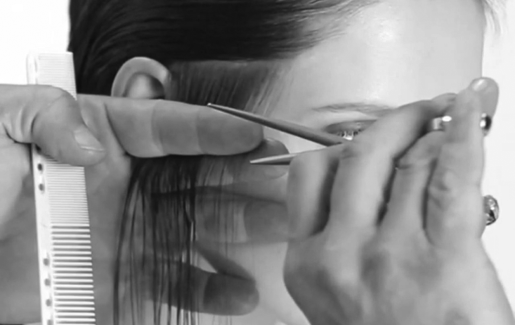 2 Day Cut Colour Fusion with Anna Pacitto and Roch Lemay at the ...