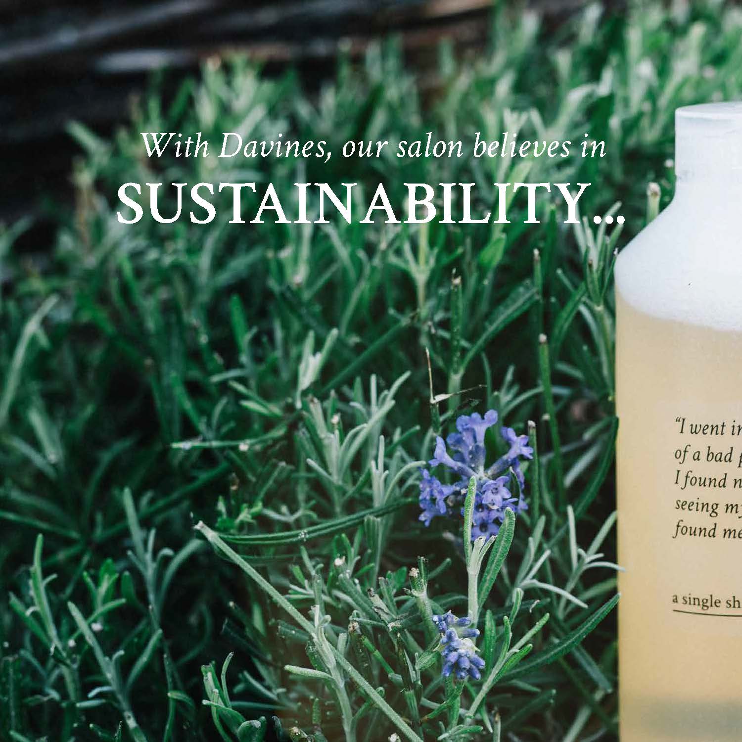 Salon Asset Kit – DavinesPro