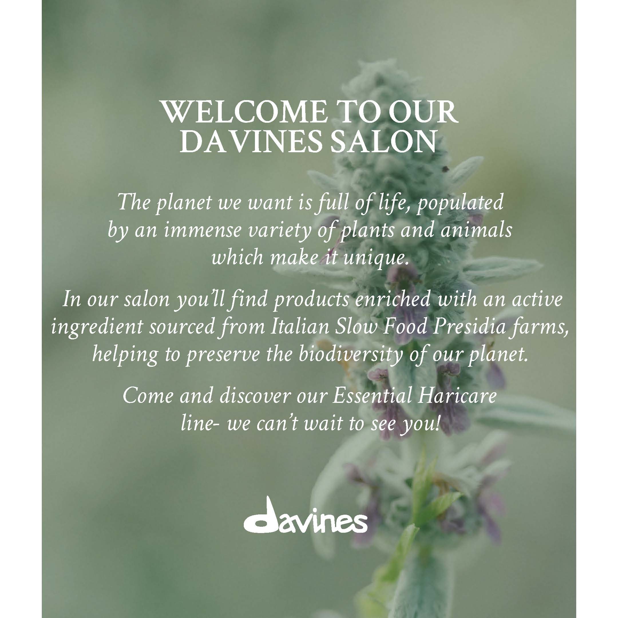 Salon Asset Kit – DavinesPro